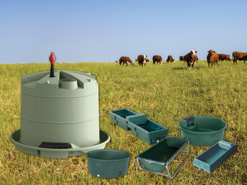 Livestock Watering – Rapid Plas